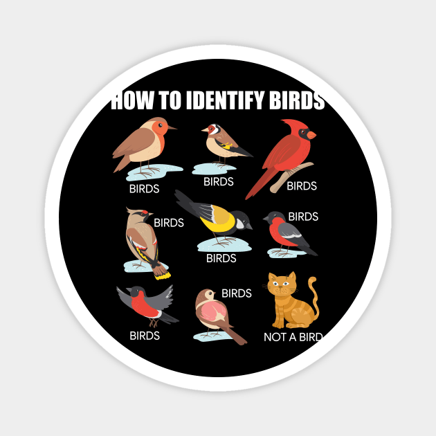 How to Identify Birds Funny Birds Identification Birdwatcher - How To Identify Birds Funny Birds ...